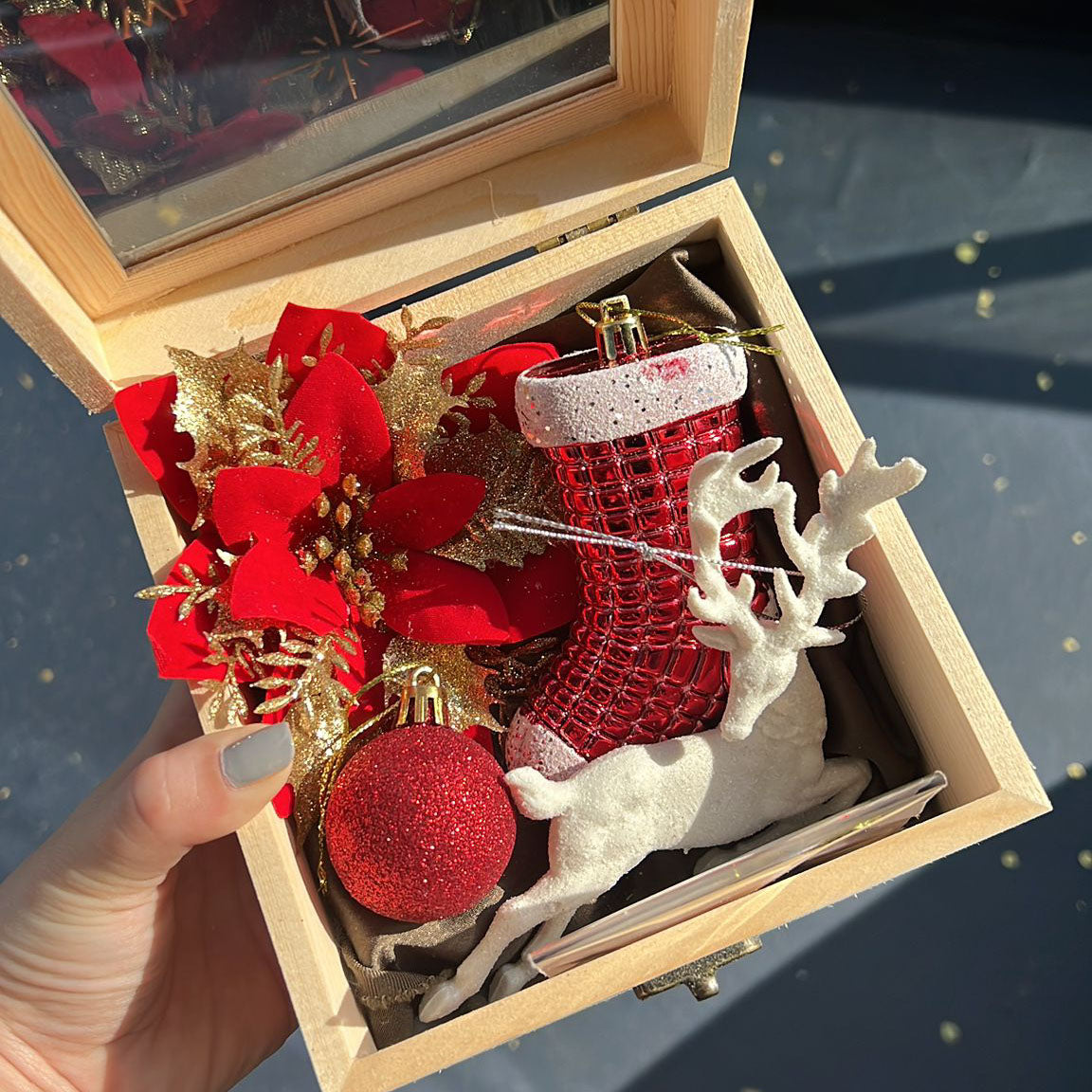 RUDOLPH Leap Christmas Ornament Gift Set – When Stars Align Studio